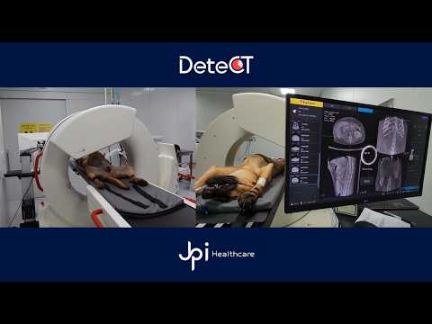 4 Rotations, 1 Scan: See How DeteCT Transforms Full-Body Imaging for ...