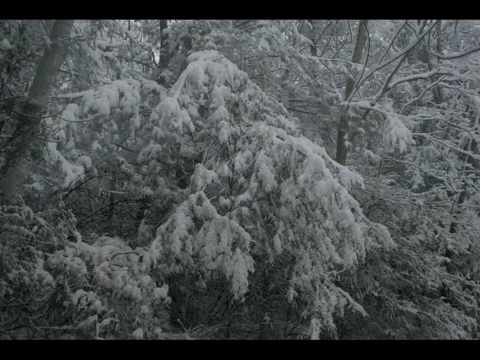 Snow Storm of 2009 - YouTube