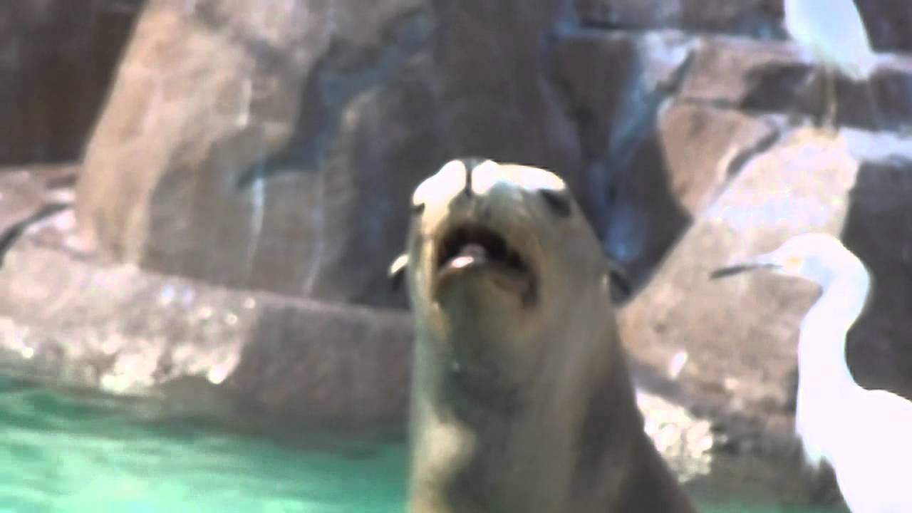 Longest Burp Ever!! - YouTube