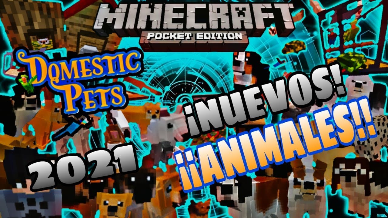 🎮MOD/ADDON MINECRAFT PE🌳PERROS🐶MASCOTAS🐹ANIMALES🐕‍🦺//DOMESTIC🐰PETS ...