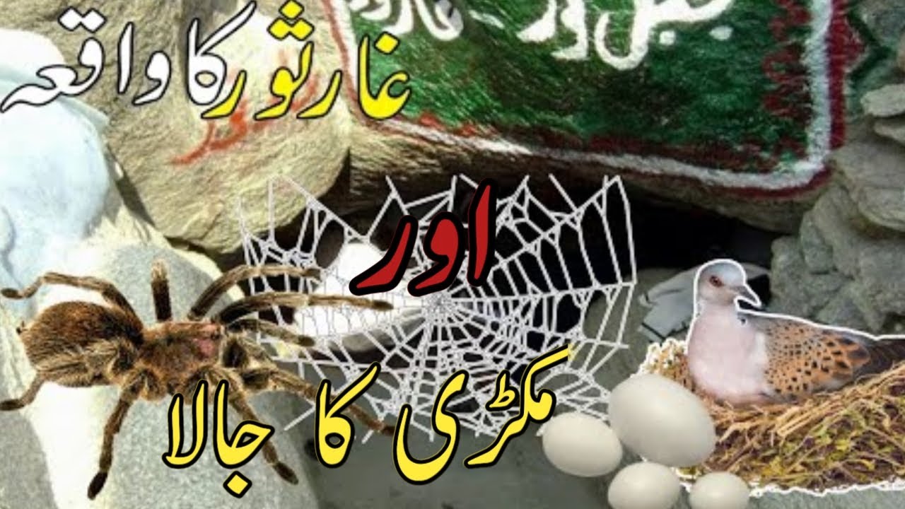 Ghar e Sor ka Waqia | Prophet Muhammad SAW and Spider Story | Thawr ...