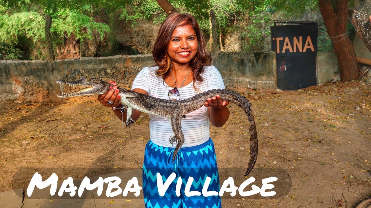 Eating Crocodile in Mamba Village of Mombasa, Kenya - YouTube