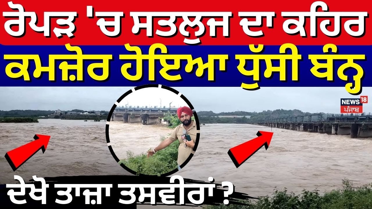 Ropar Flood News | ਰੋਪੜ 'ਚ ਸਤਲੁਜ ਦਾ ਕਹਿਰ, ਕਮਜ਼ੋਰ ਹੋਏ ਧੁੱਸੀ ਬੰਨ੍ਹ, ਦੇਖੋ ...