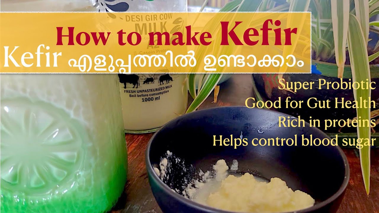 How to make Kefir from kefir grains | Kefir എളുപ്പത്തിൽ ഉണ്ടാക്കാം ...
