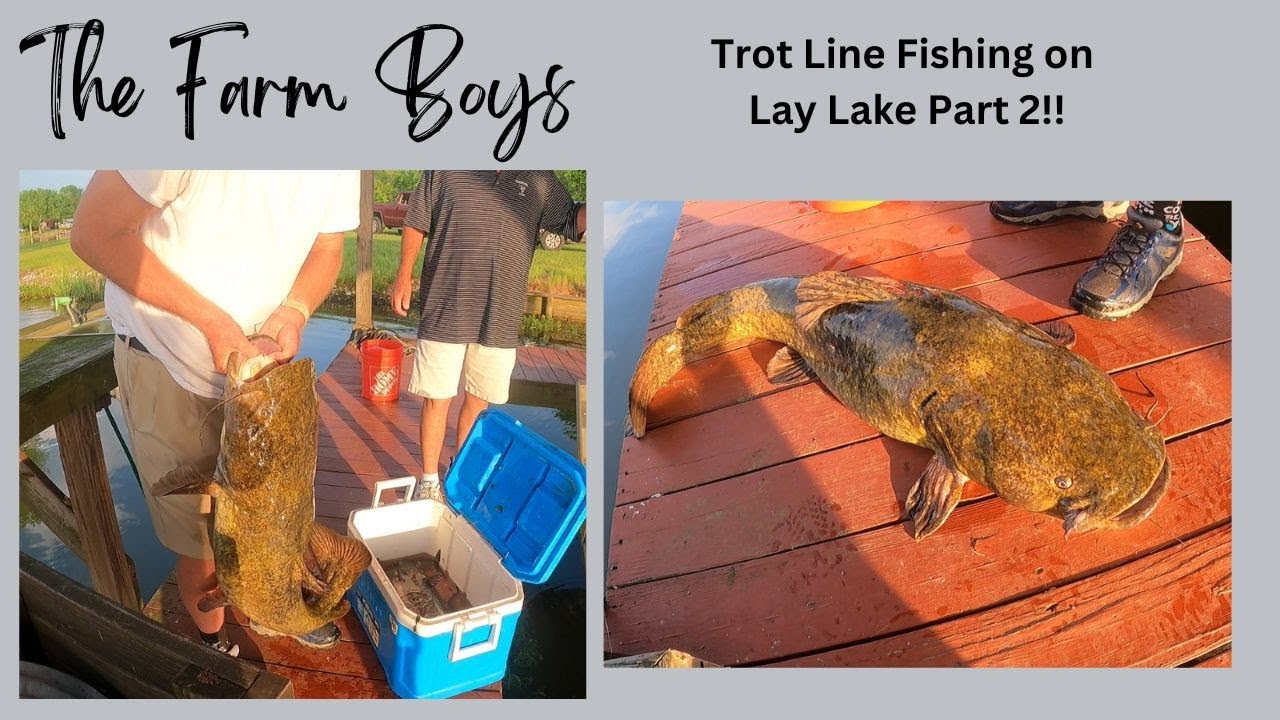 The Farm Boys S3 Ep5 Trot lining part 2!! - YouTube