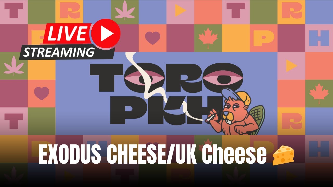 Пробую EXODUS CHEESE/UK Cheese. Обсуждаем последние СТРАШНЫЕ ...