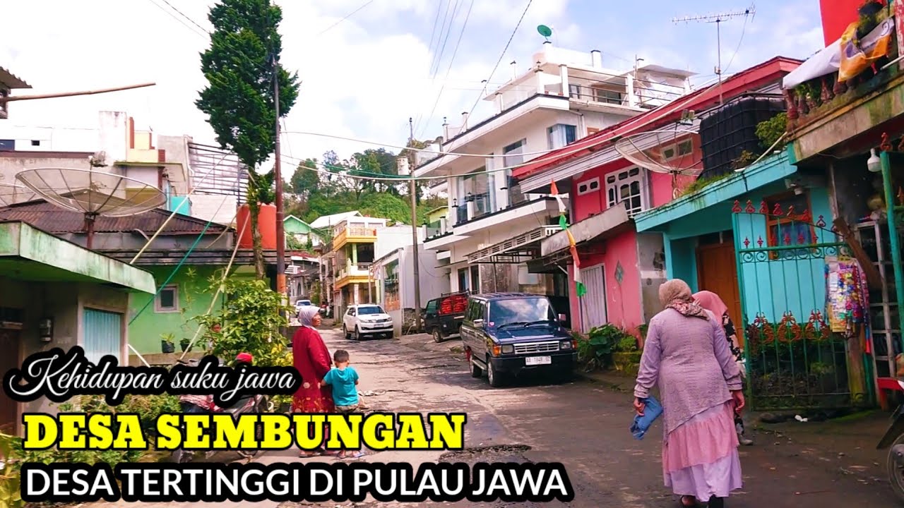 suasana kehidupan di DESA TERTINGGI DI PULAU JAWA ‼️ Desa Sembungan ...