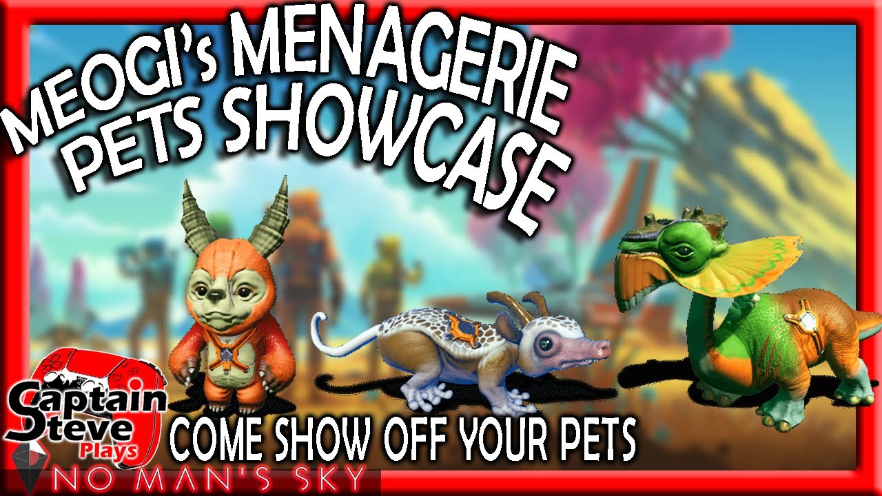 No Man's Sky Come Show Off Your Pets Live Captain Steve Meogi And ...