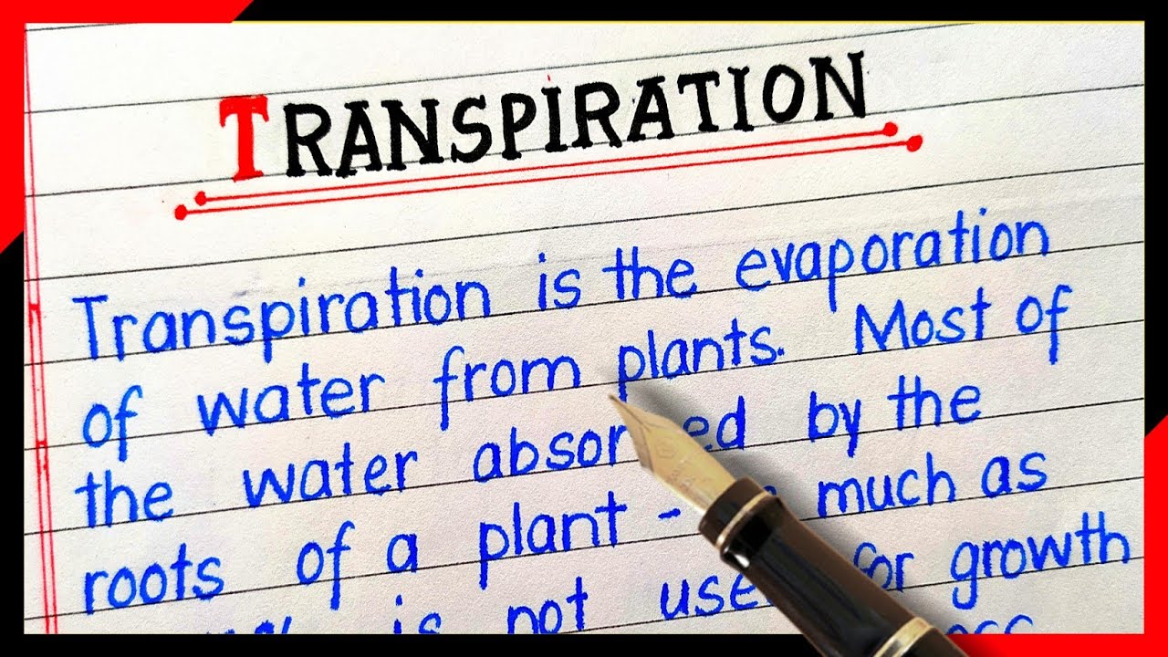What is transpiration | Definition of transpiration | Transpiration ...
