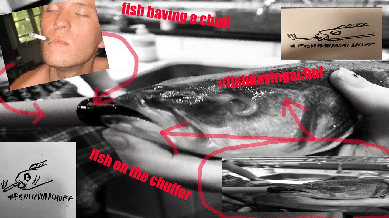 fish having a chuff - YouTube