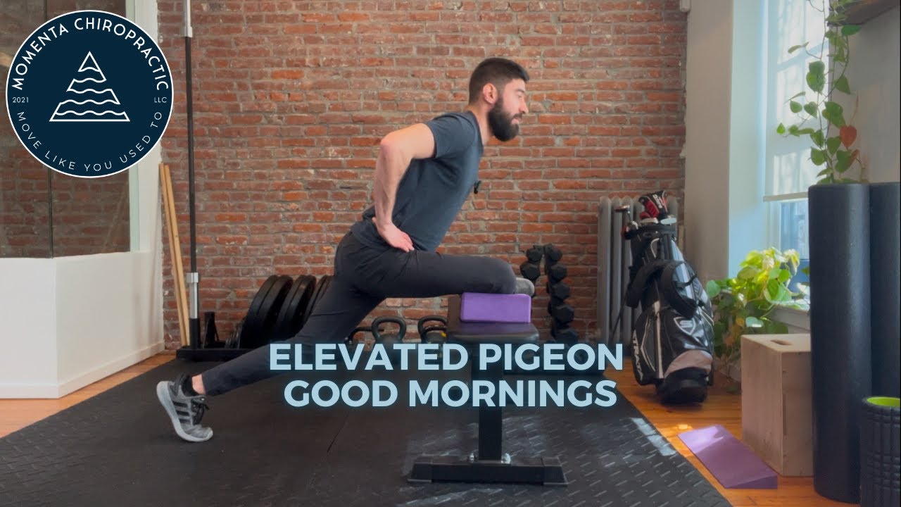 Elevated Pigeon Good Mornings - YouTube