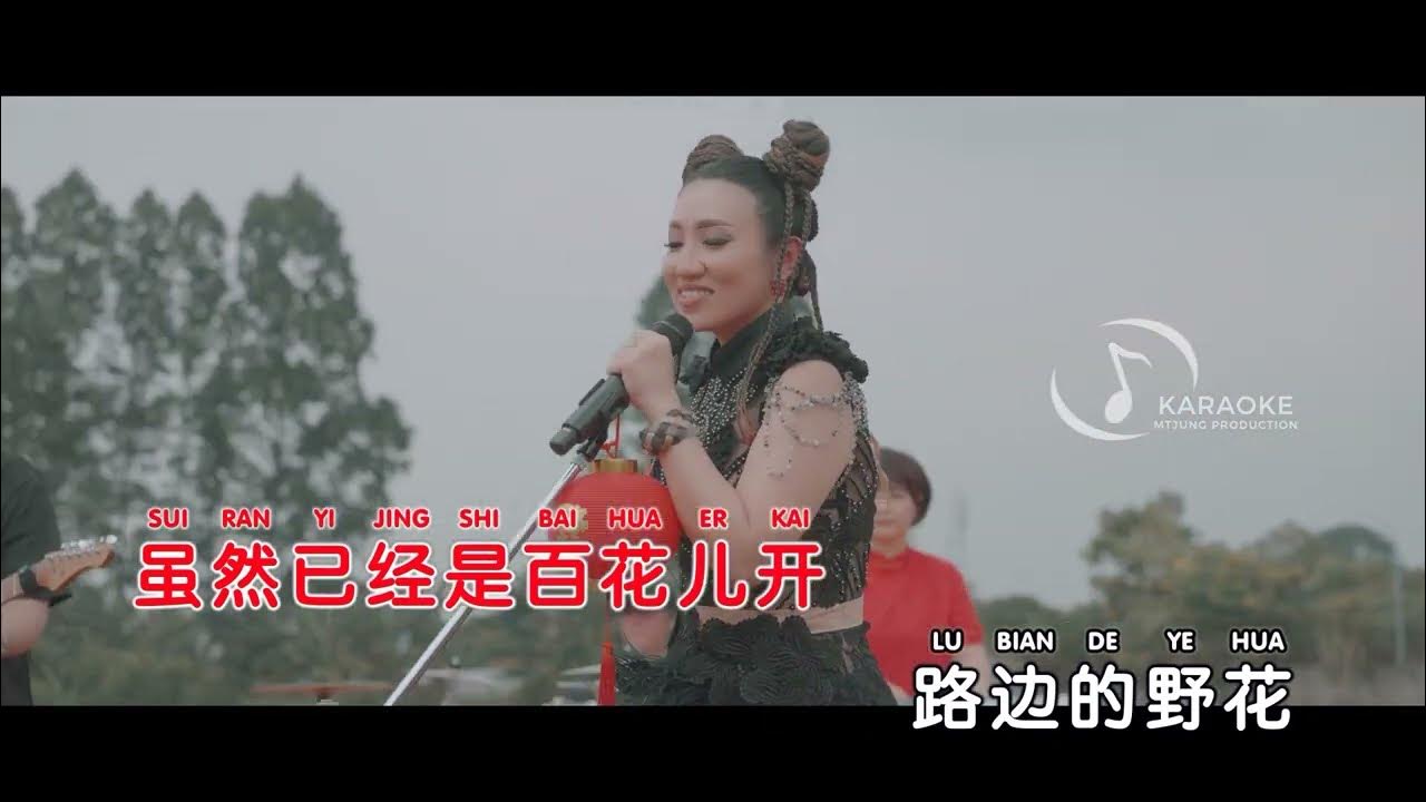 Lu Bian De Yehua Bu Yao Cai 路边的野花不要采 - Karaoke ( Music only ) - YouTube