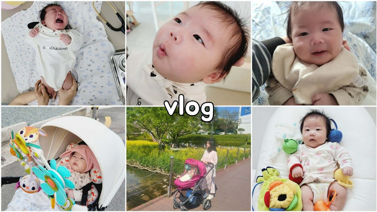 ๐ถ์ํ62 69์ผ ์ก์vlog 2๊ฐ์์๋ฐฉ์ ์ข
 ๋งค์ผ ๋๋ค์ด ์์๋ค์ค ์ฑ
์ก์ ์๋ฉด๊ต์ก ๋์ง๊ธฐ์ฑ๊ณต ์ฒซ์๊ธฐ๋