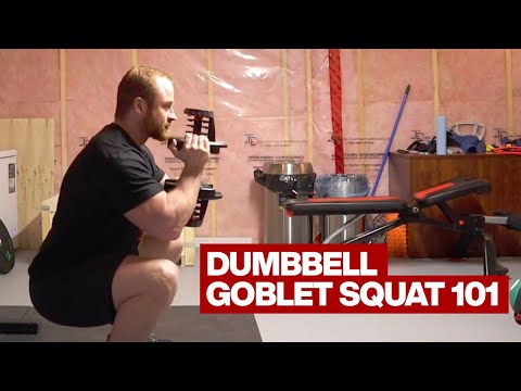 Dumbbell Goblet Squat