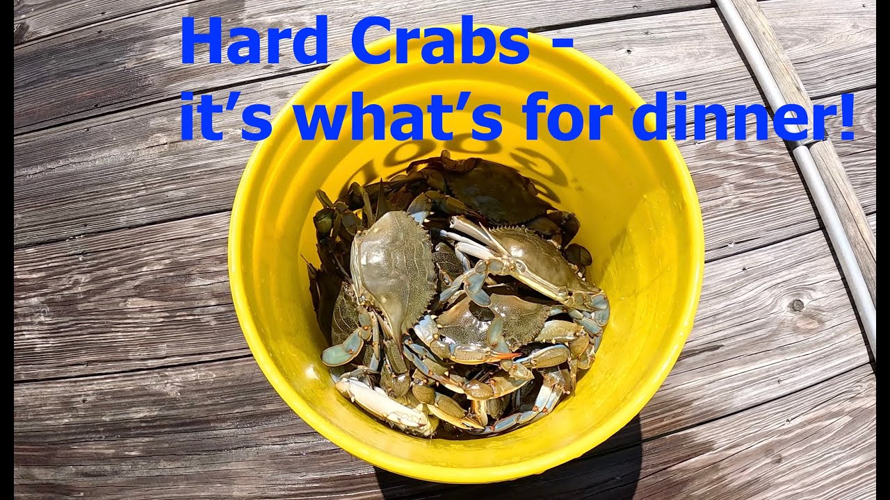 Soybean Planting & Chicken Necking (crabbing) - YouTube
