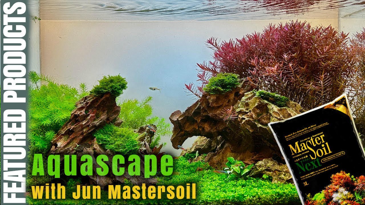 Aquascape with Jun Master Soil - Plant growth, water chemistry ...
