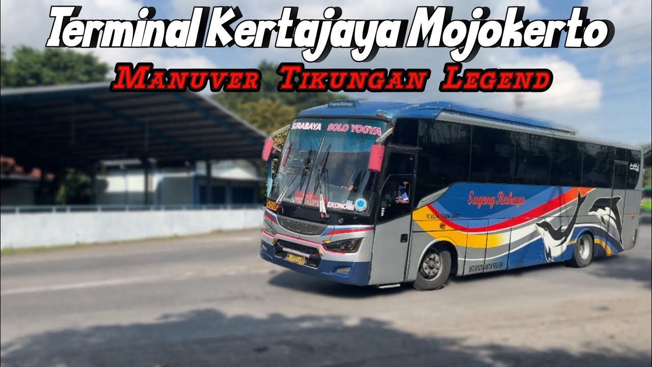 HUNTING BUS TERMINAL KERTAJAYA‼️🏁 MOJOKERTO | TIKUNGAN LEGEND BUS JAWA ...