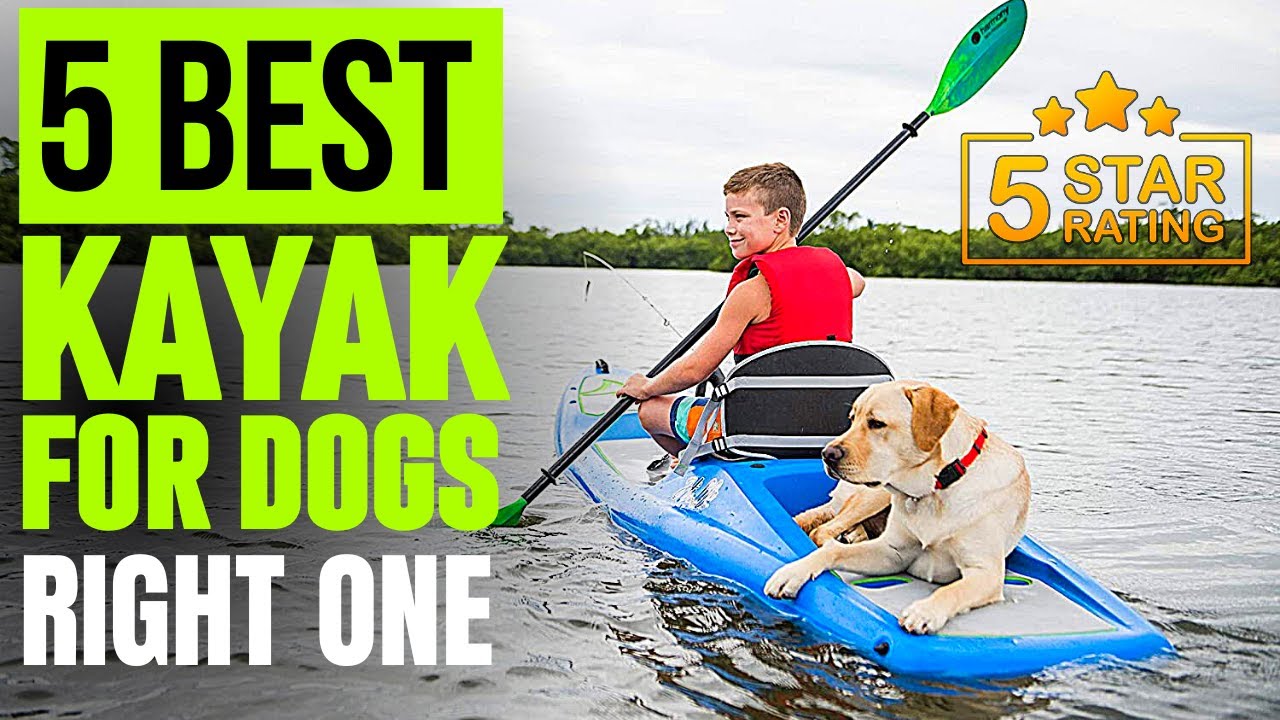 The Best Kayak for Dogs: How to Choose the Right One for Your Pup - YouTube