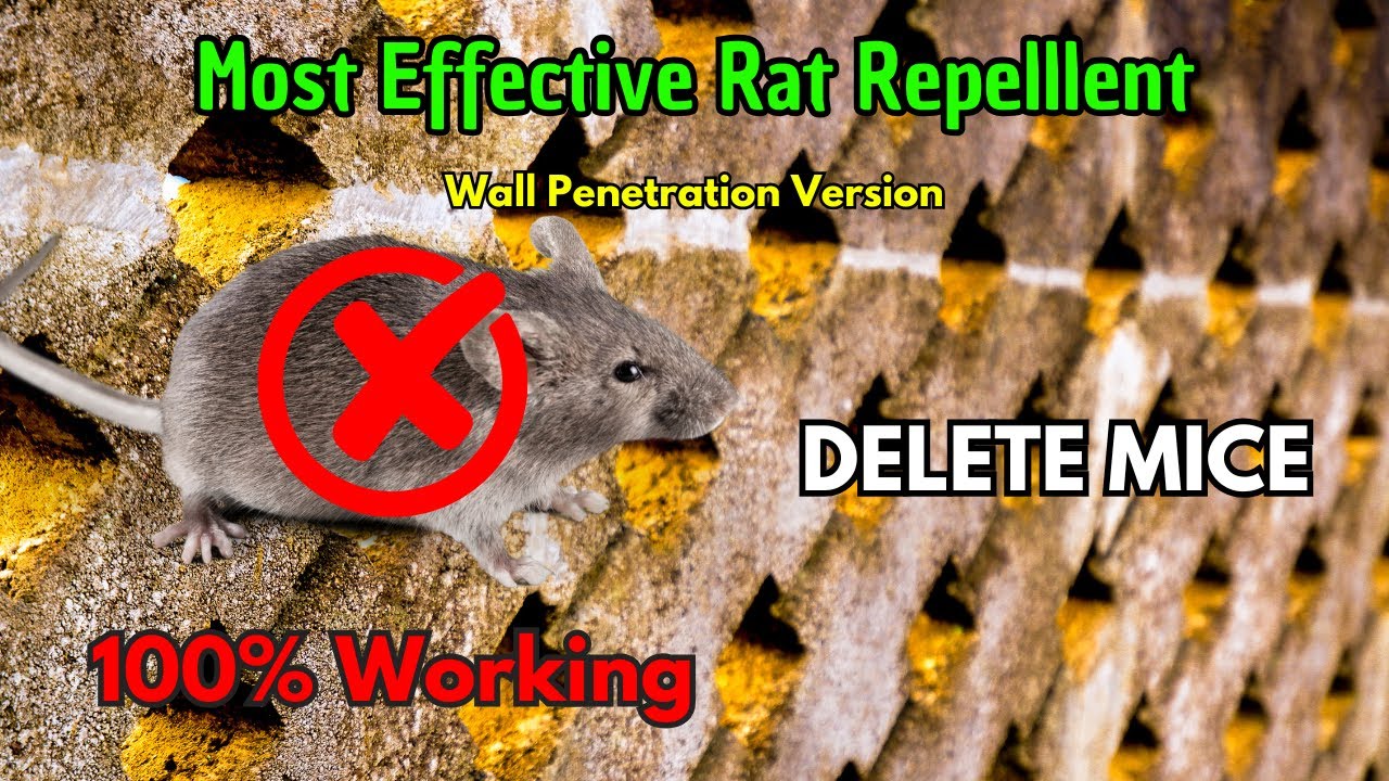 ️ MOST WANTED...!!! Mouse & Rat Ultra Sonic Deterrent. Mice Ultrasonic ...