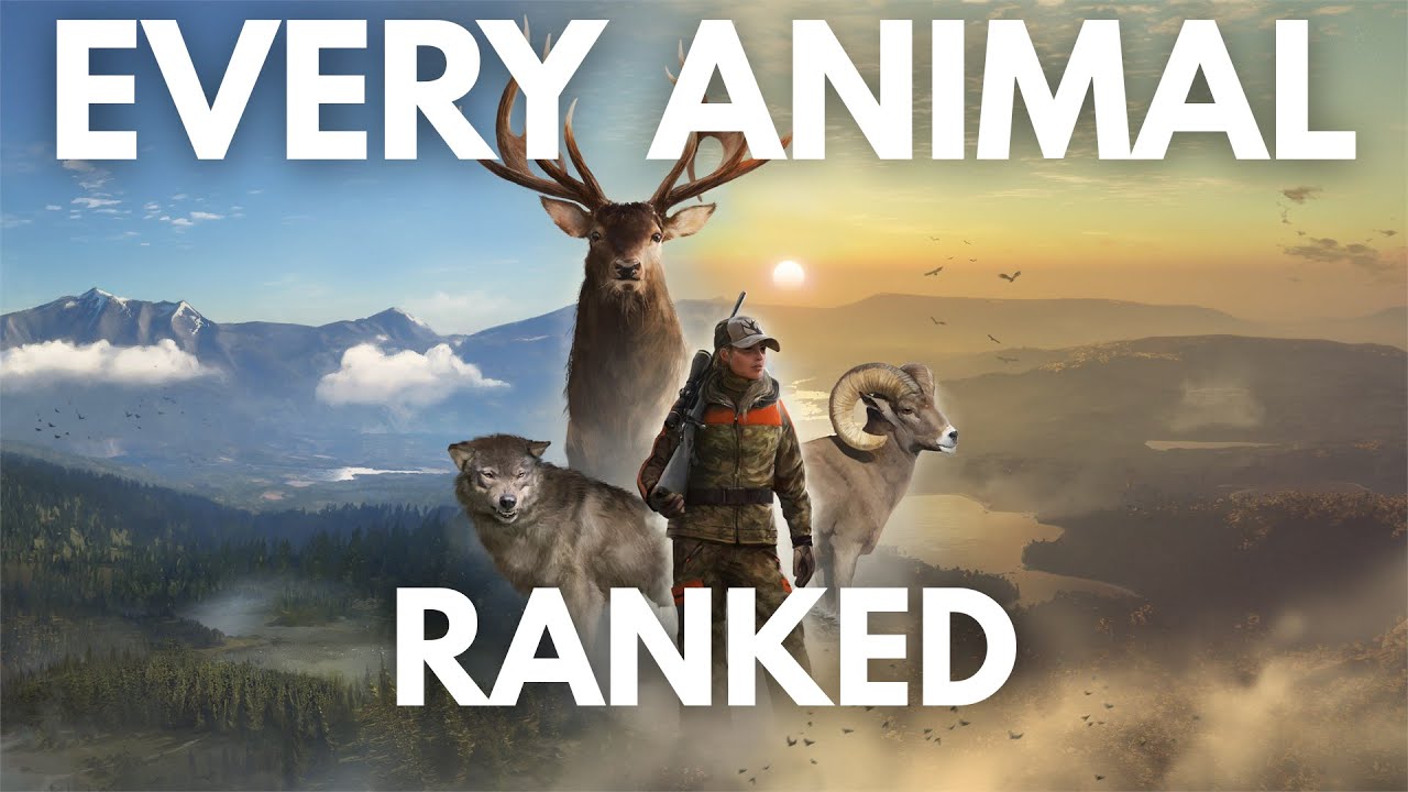RANKING Every Animal in The Hunter: COTW - YouTube