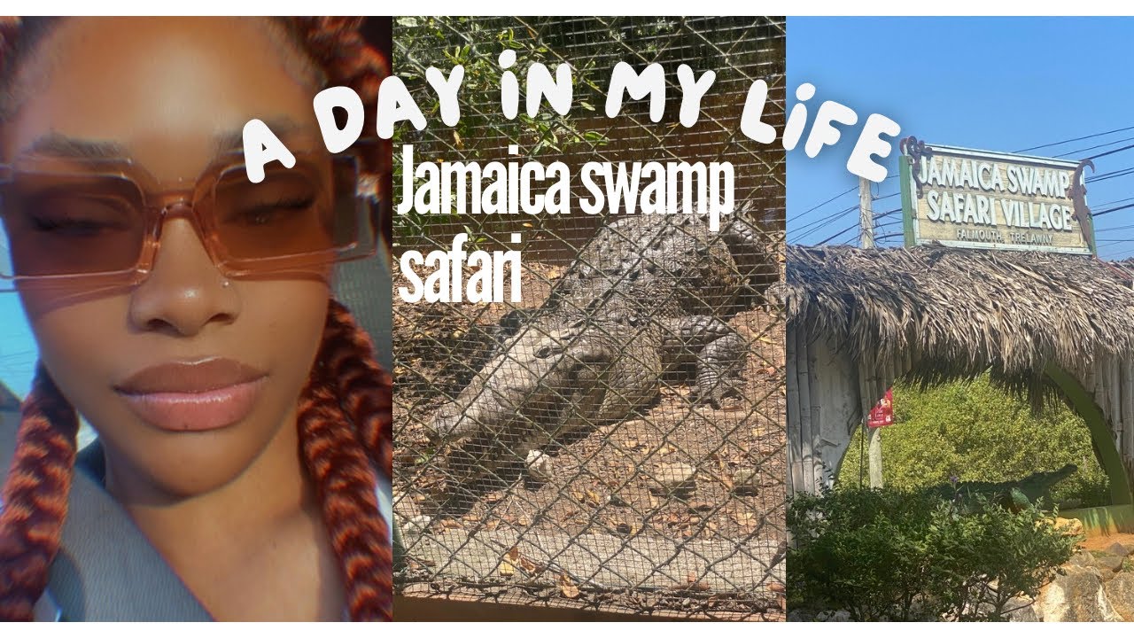 Jamaica swamp safari village (Trelawny) - YouTube