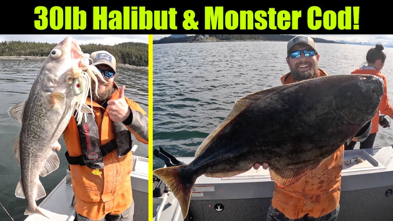 30lb Halibut and Monster Cod! Alaskan Halibut Fishing - Juneau, Alaska ...