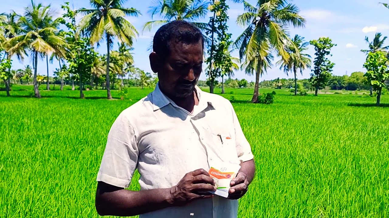 Paddy Herbicide Bayer in Council activ Testimonials video - YouTube