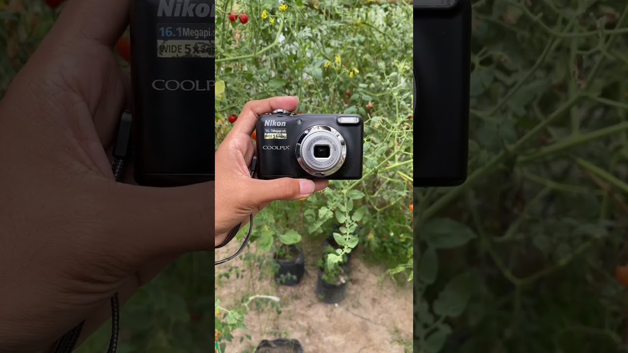 Review Digital Camera Nikon Coolpix A10 #camera #digitalcamera #photography #reviewcamera #fyp