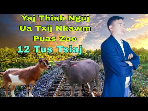 Yaj Thiab Nguj Los Ua Txij Nkawm Puas Zoo Koob Hmoov Puas Haum 1991 ...