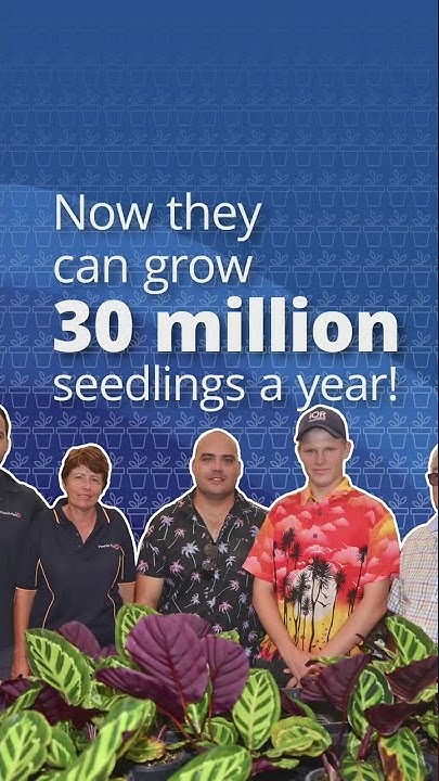 2B Advertising & Design Example SM Video - AusIndustry Flourish Plants ...