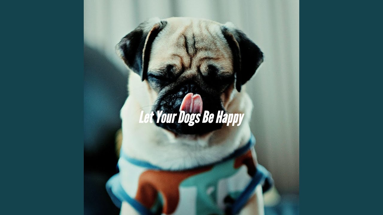 Mind-blowing Ambiance for Classy Pups - YouTube