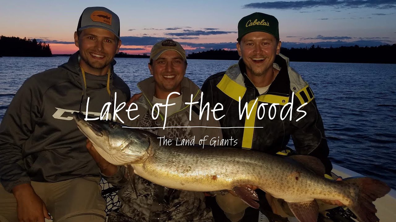 4 Foot MUSKIE on Lake of the Woods - YouTube