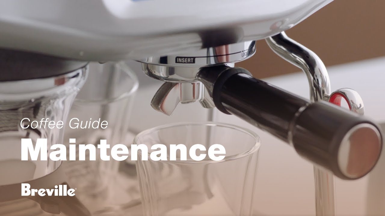 The Barista Touch™ Impress | How to perform a routine group head purge ...