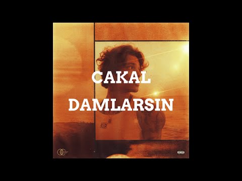 Çakal - DAMLARSIN | Lyrics [Şarkı Sözleri]