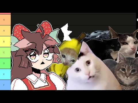 Cat Meme Tier list (poorly made by me) - YouTube