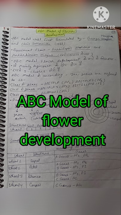 ABC model of flower development | Homeotic mutants in Arabidopsis ...