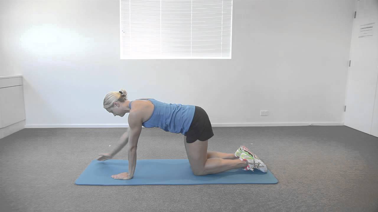 POSTURAL EXERCISES 01M Quadruped Progression - YouTube