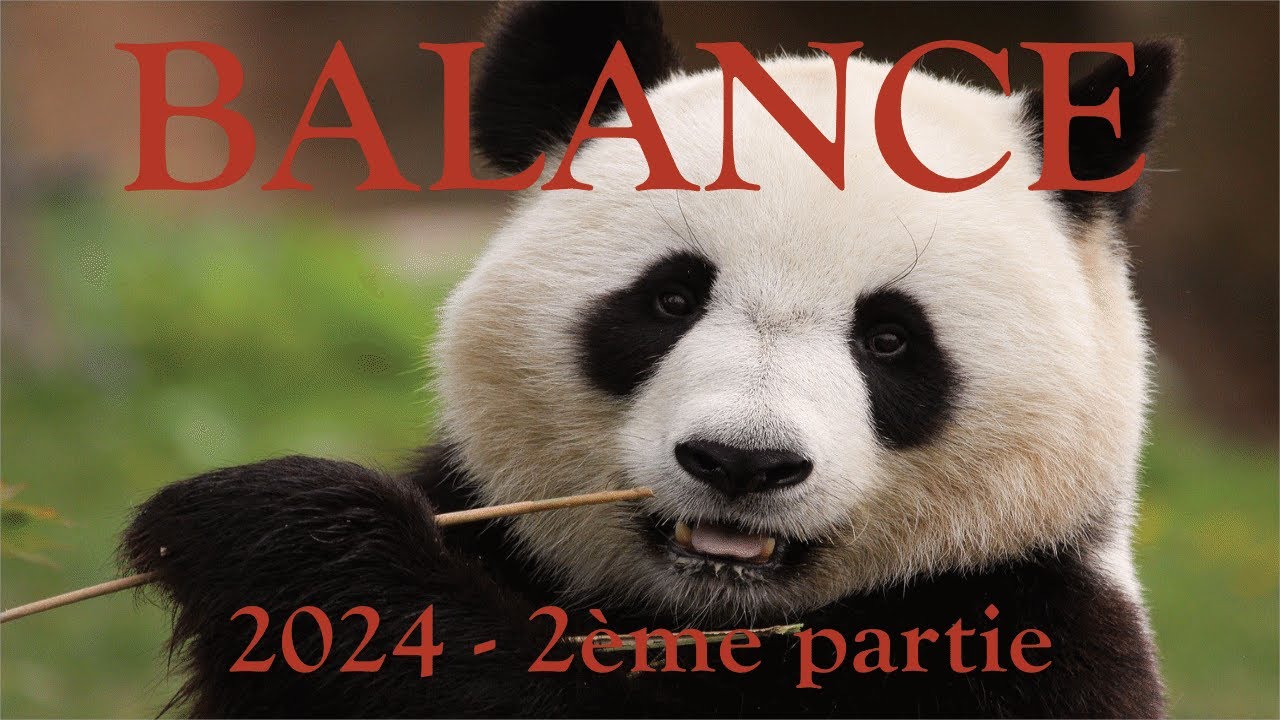 BALANCE - Projection 2ème partie 2024 - YouTube