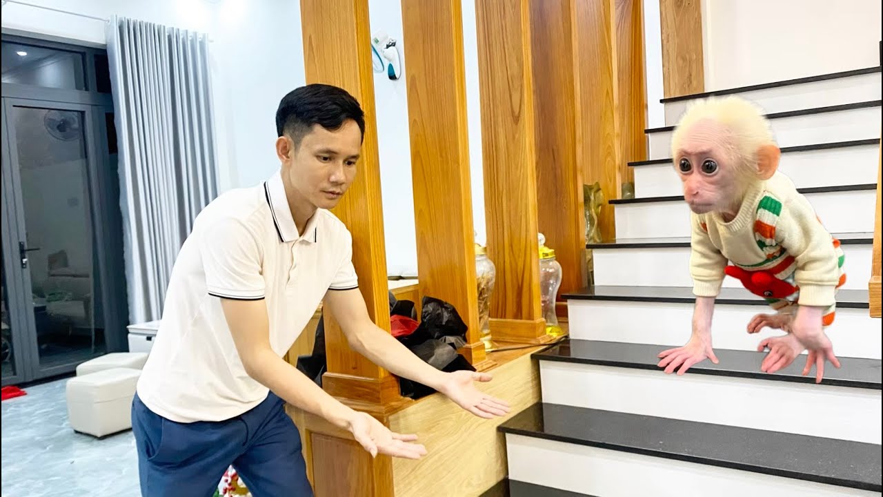 First Lesson in Life: Dona’s and the First Stairs. - YouTube