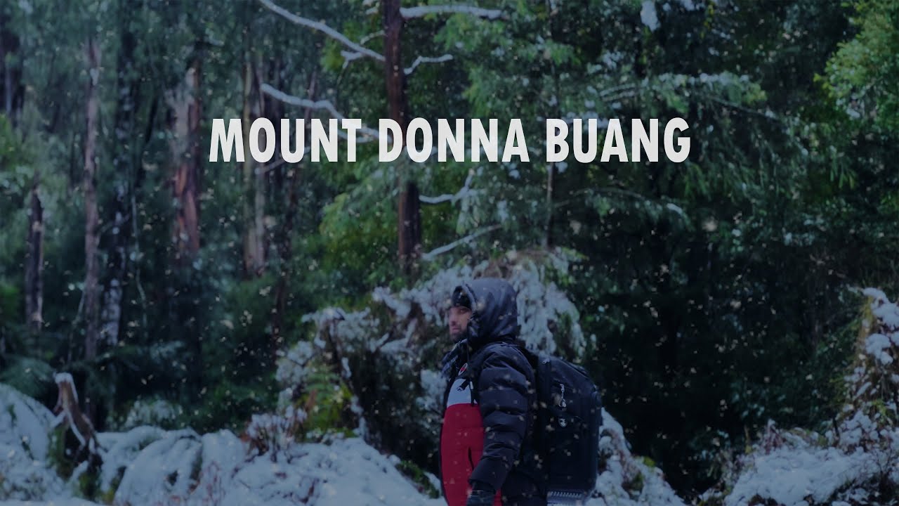 In the Heart of Winter: Mount Donna Buang | Victoria | Australia | 2024 ...