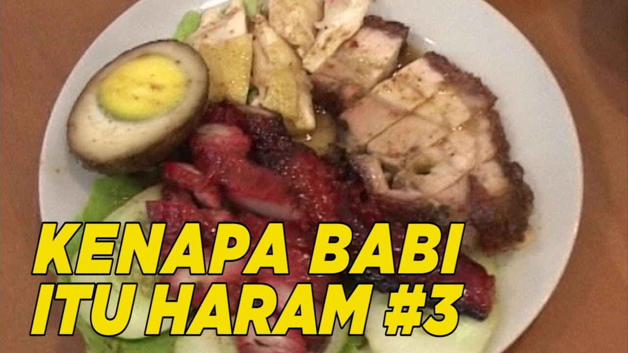 Beginilah alasan mengapa babi dan daging anjing itu diharamkan | HALAL ...
