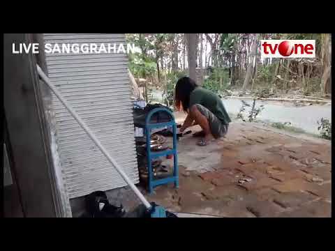 MENYUSUI ANAK KUCING PART 2