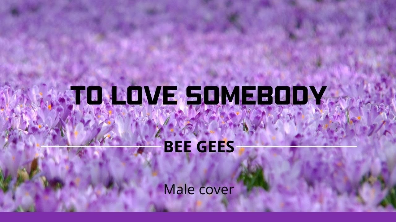 To Love Somebody - Bee Gees - Cover - YouTube