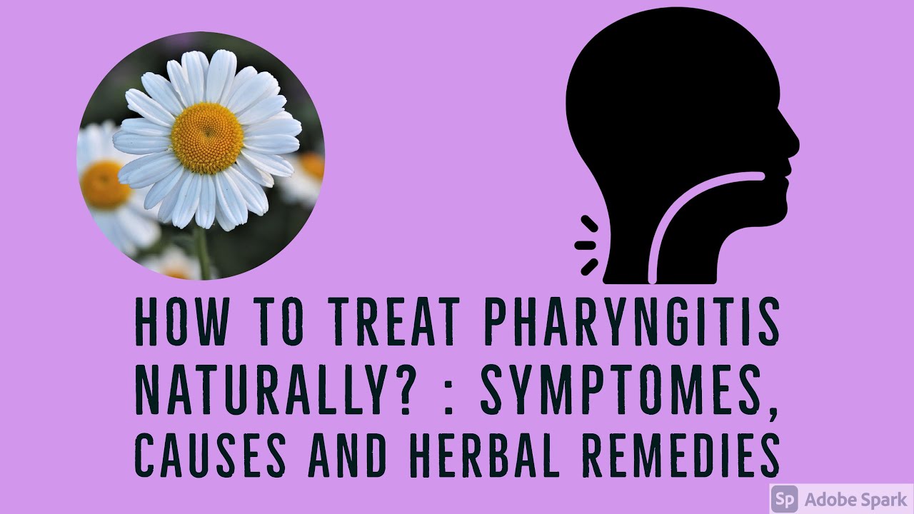 Soigner l'angine et pharyngite avec une tisane aux plantes - How do you ...