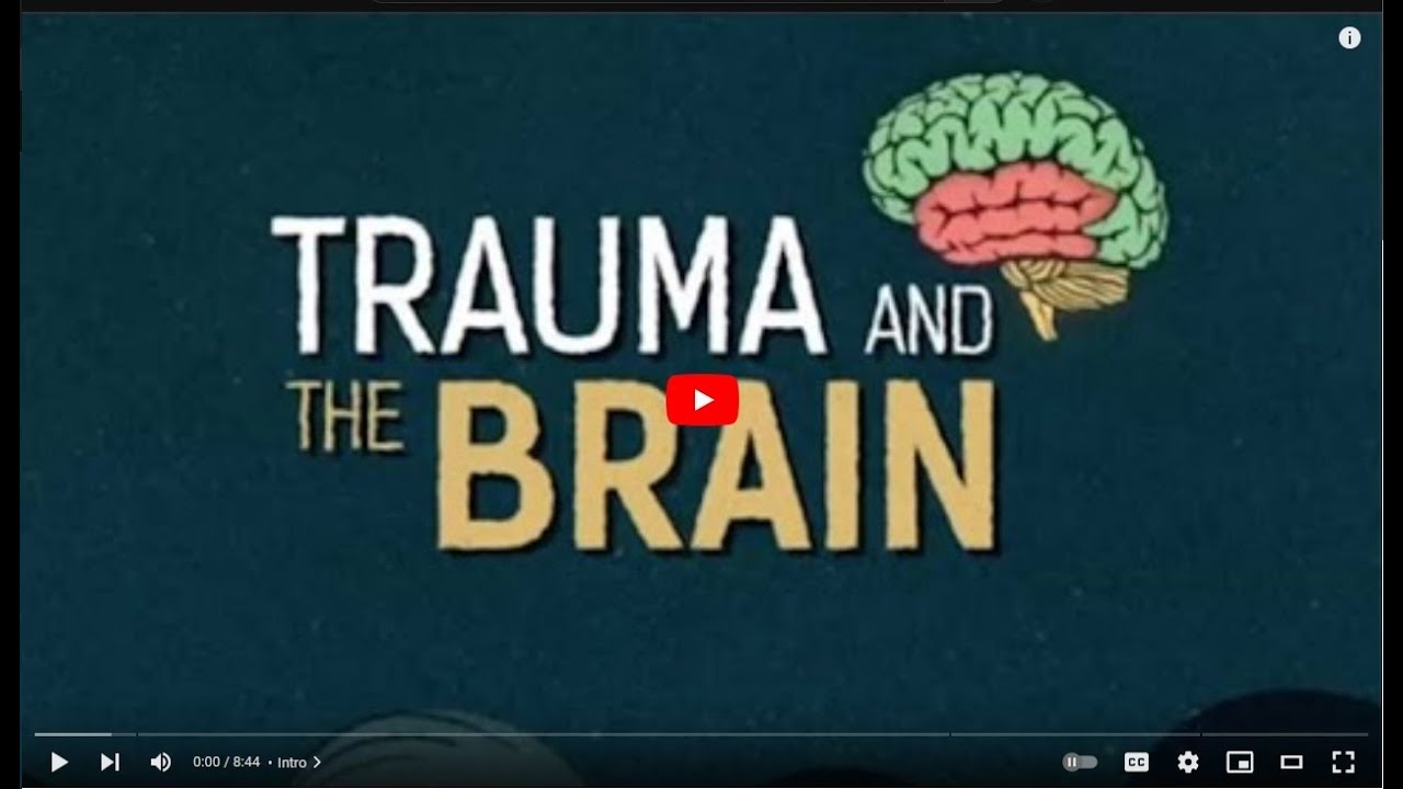 Mindfulness and the evolution of anxiety - YouTube