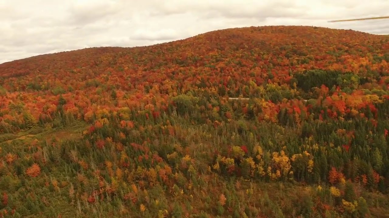 Peak Fall Foliage, Elmore, Vermont, 9/29/2020 - YouTube