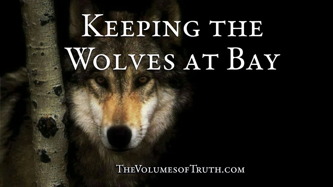 KEEPING THE WOLVES AT BAY (Regarding those who persecute The Lord’s ...