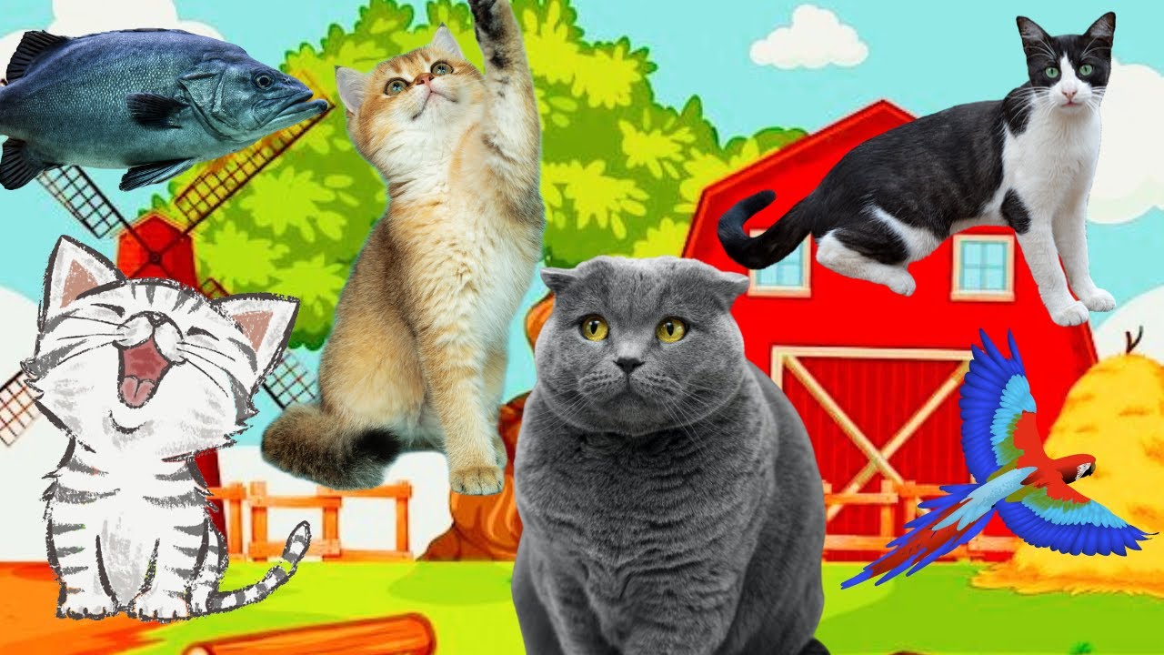 ANIMAL SOUNDS I Cute Animal Sounds Video Compilation 2023 - YouTube