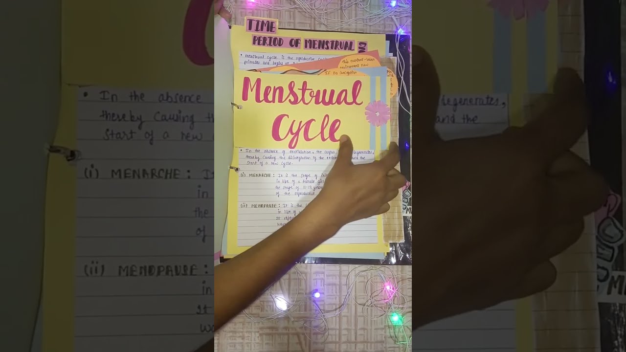 biology project for class 12th on the topic human reproduction - YouTube