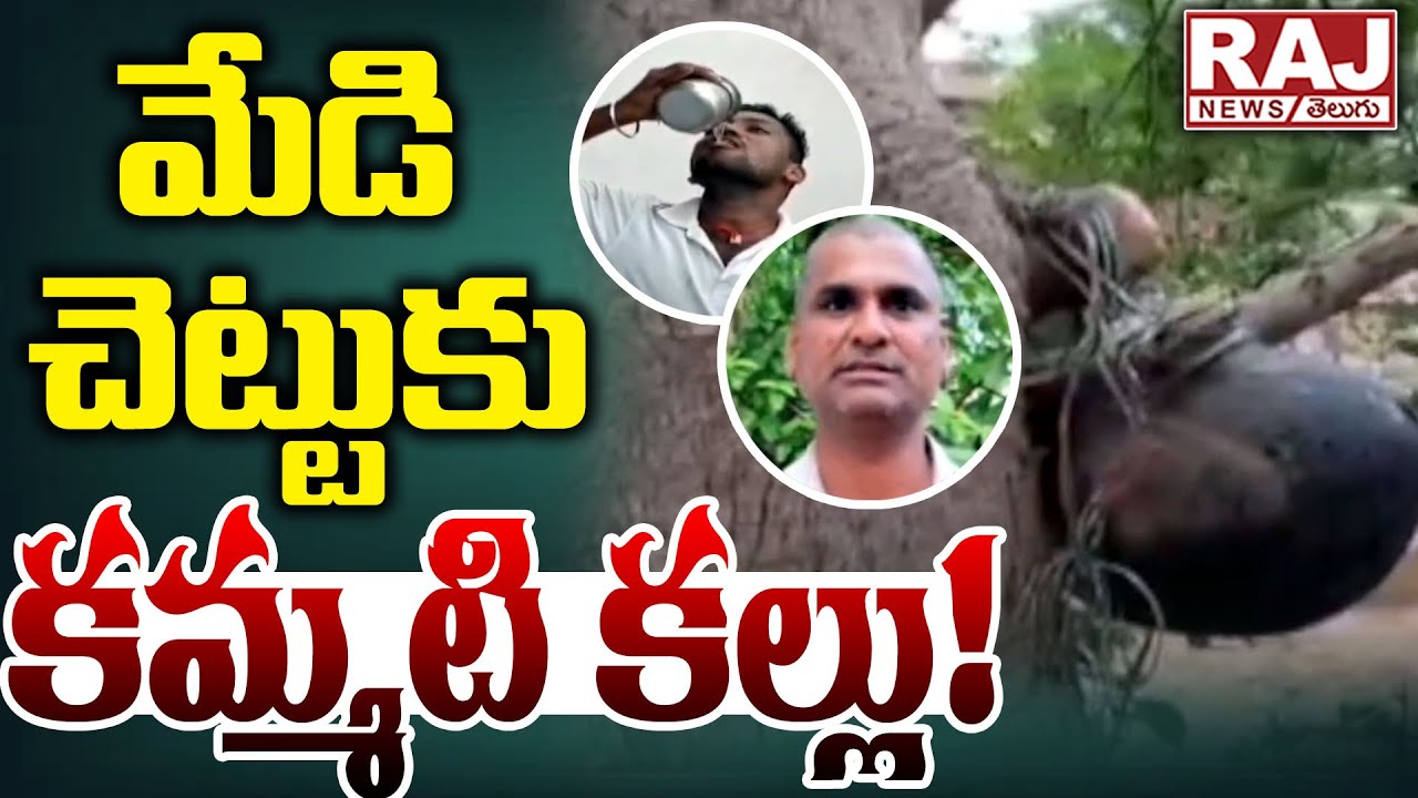 మేడి చెట్టుకు కమ్మటి కల్లు ..! | ( Medi Chettu Kallu ) in Nagar Karnool ...